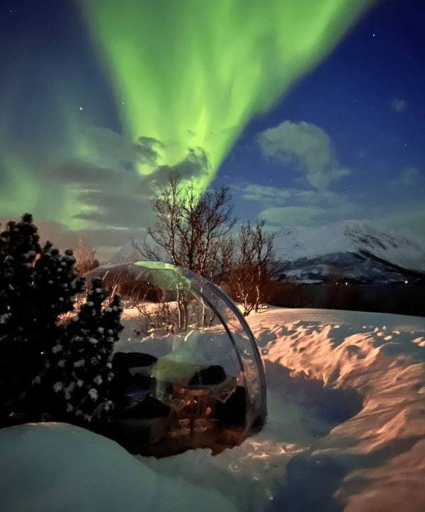 Discover the Hybrid Dome: Where Nature Meets Timeless Elegance - Dream Home